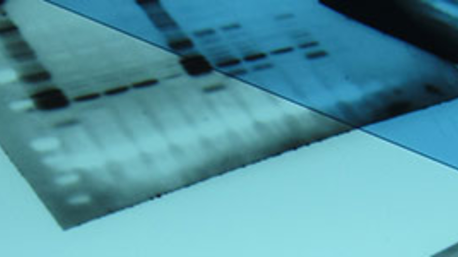 Wright Lab | The University of Iowa